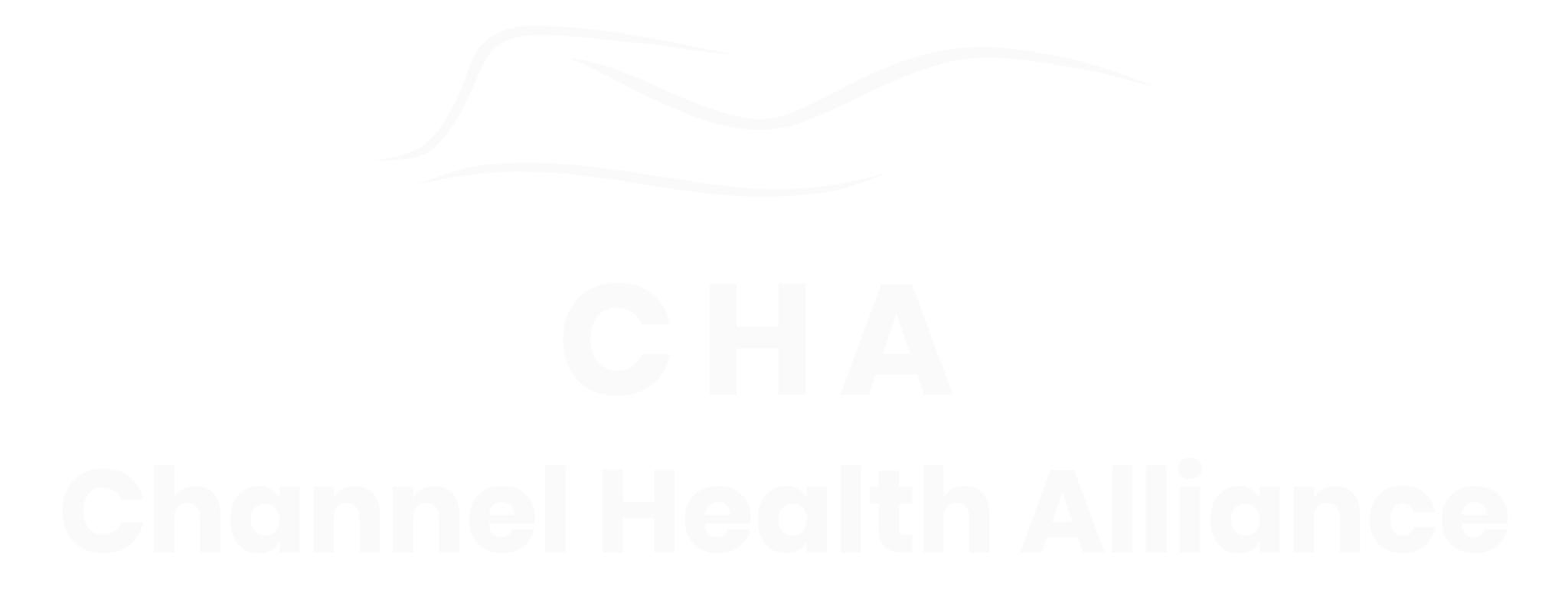 Vision & Values - Channel Health Alliance